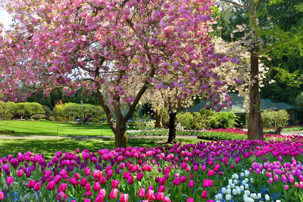How to Make the Most of Spring in British Columbia | Destination Canada