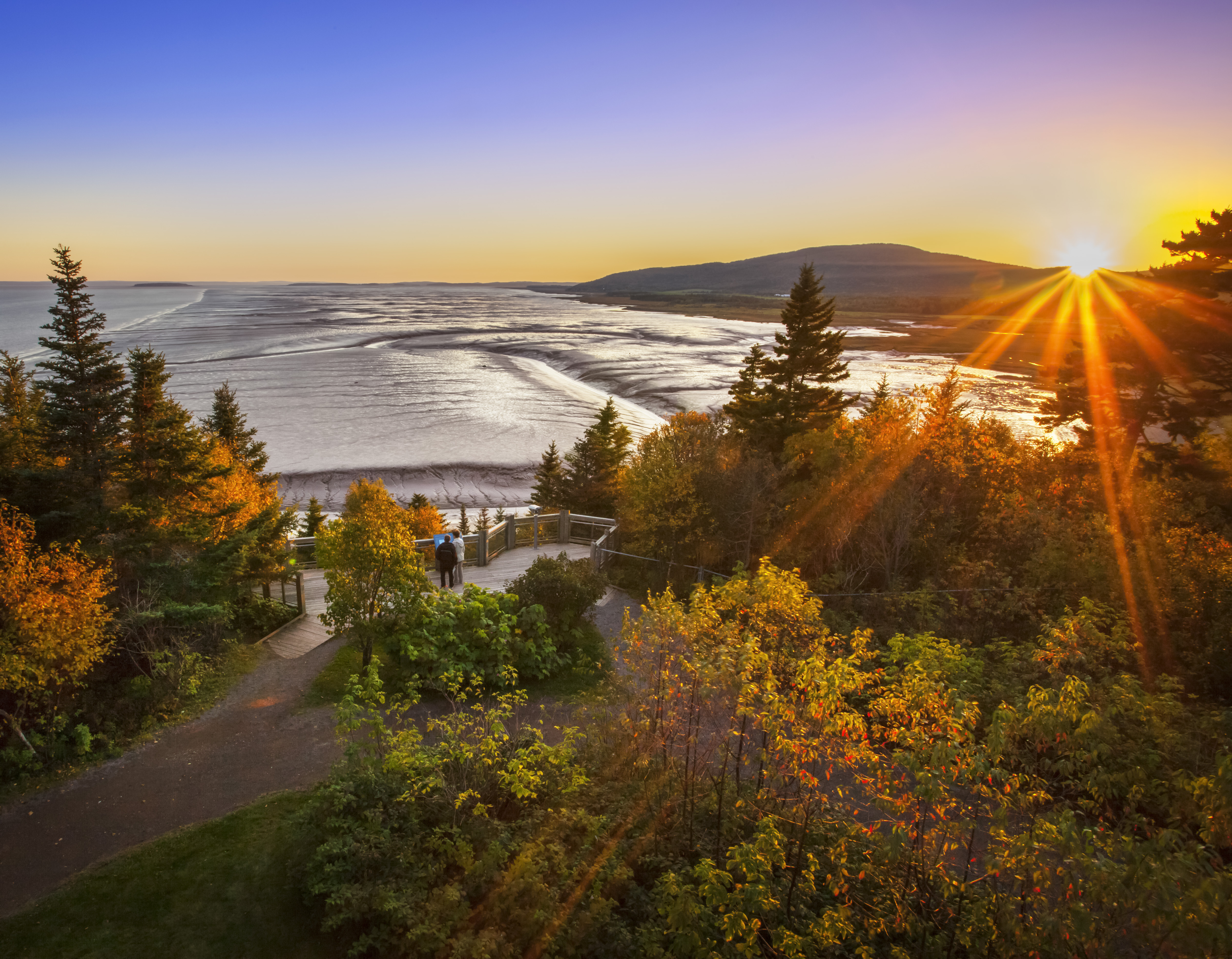 Destination Canada Partners with Air Canada to Incentivize US Travellers | Destination Canada