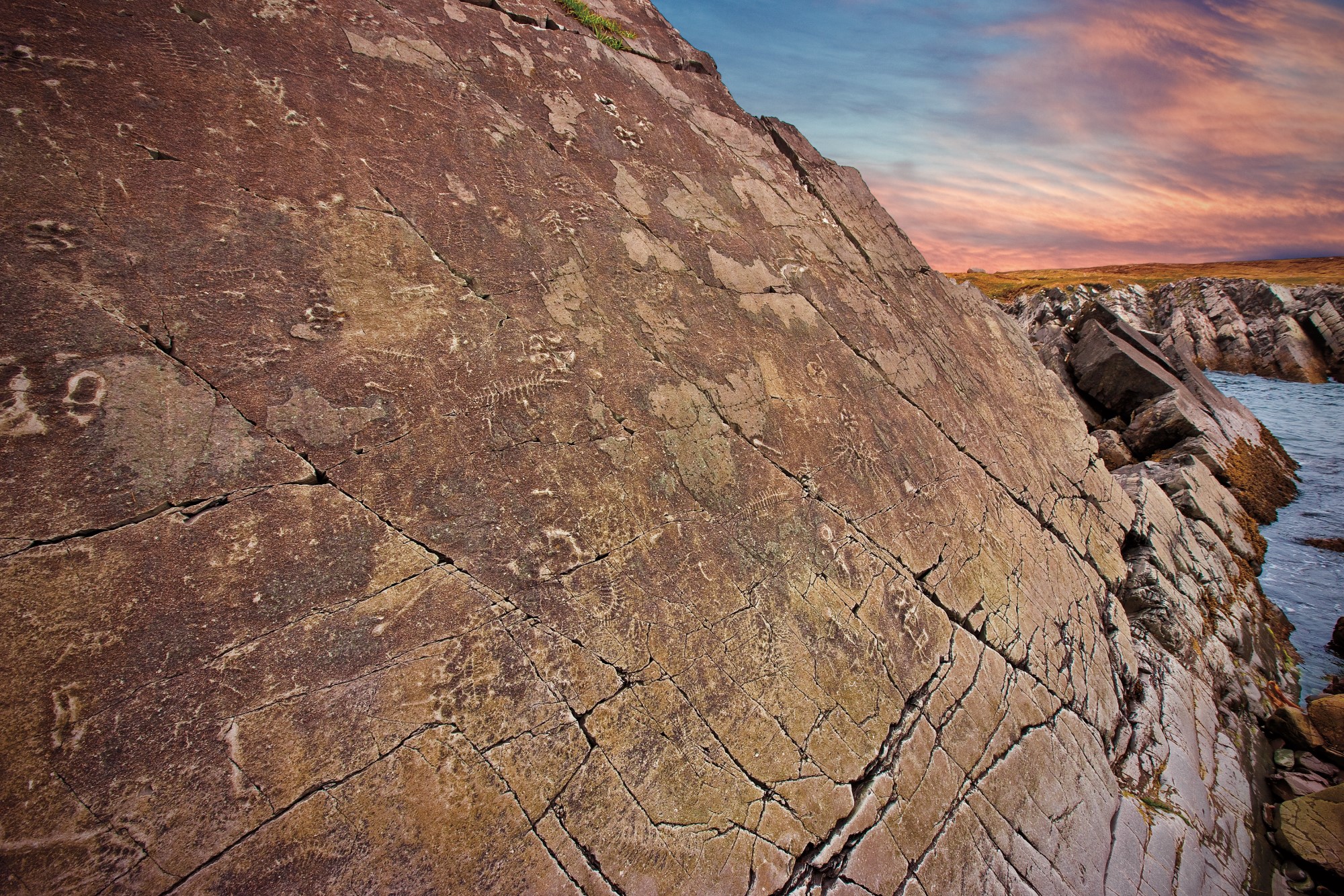 À la recherche de fossiles dans la réserve écologique de Mistaken Point ...