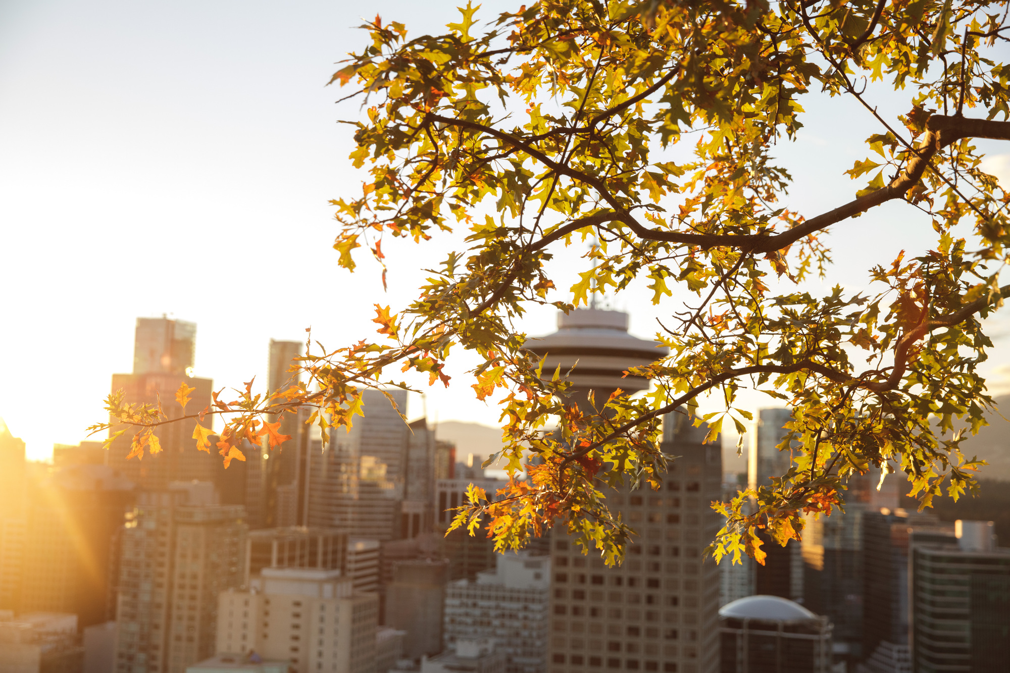 Local's guide: Canada's best views | Destination Canada